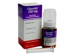 Clavulin Bula - Posologia, Preço, Clavulin BD - Seu Guia De Saúde